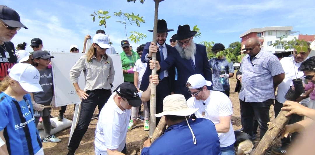 "La Comunidad Judía en Panamá: Un Ejemplo de Integración y Prosperidad ...