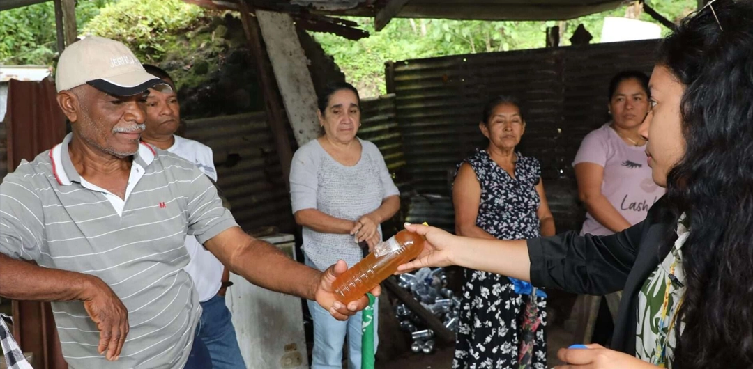 Cultivo Orgánico Impulsado por la Alcaldía de Panamá Transforma la ...